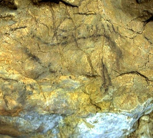 El Buxu – Arte paleolítico en Asturias